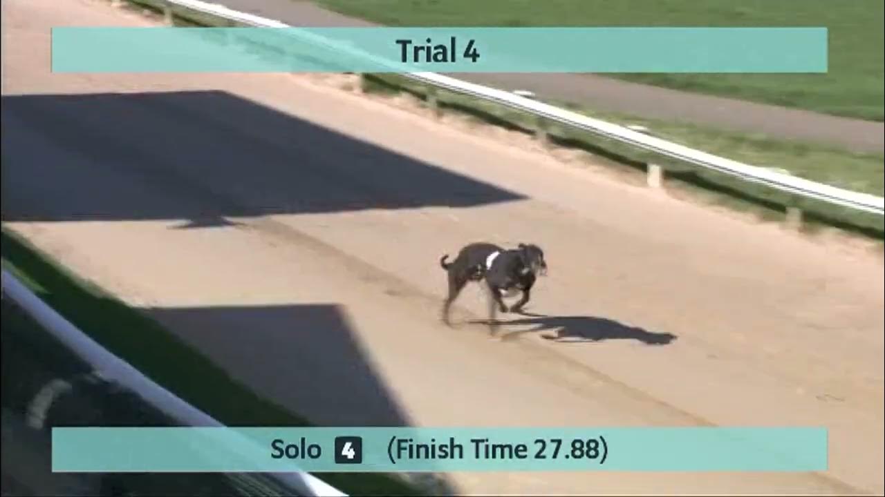 Kinsley Greyhounds Trials on 7th April 2023 - YouTube Kinsley Greyhounds Trials on 7th April 2023 - YouTube