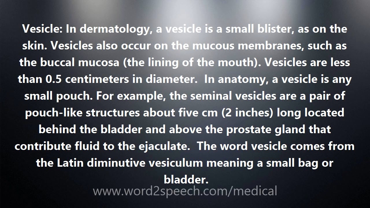 Vesicle - Medical Meaning and Pronunciation - YouTube