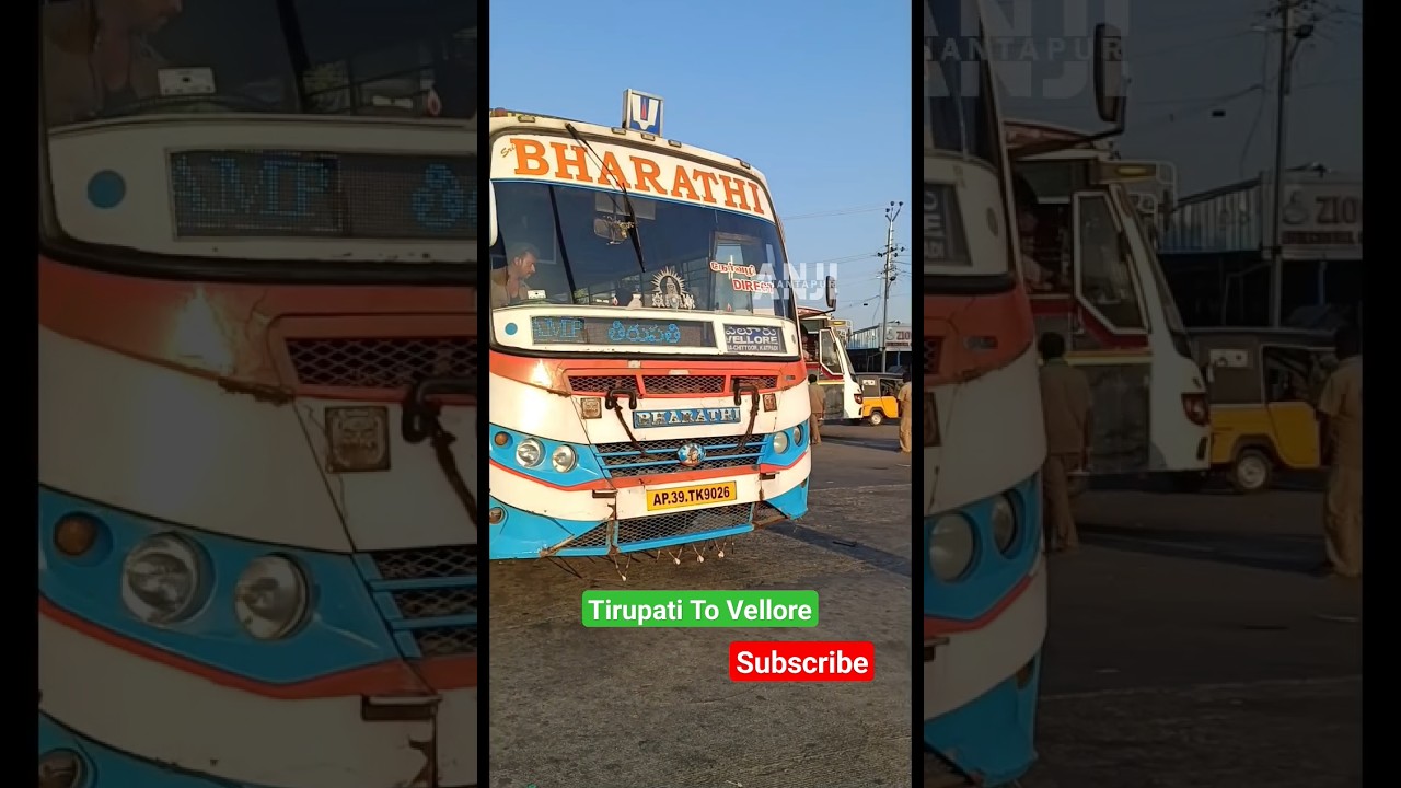Tirupati To Vellore Bharathi Bus #shortsb#shortsfeed #bus #buslovers # ...