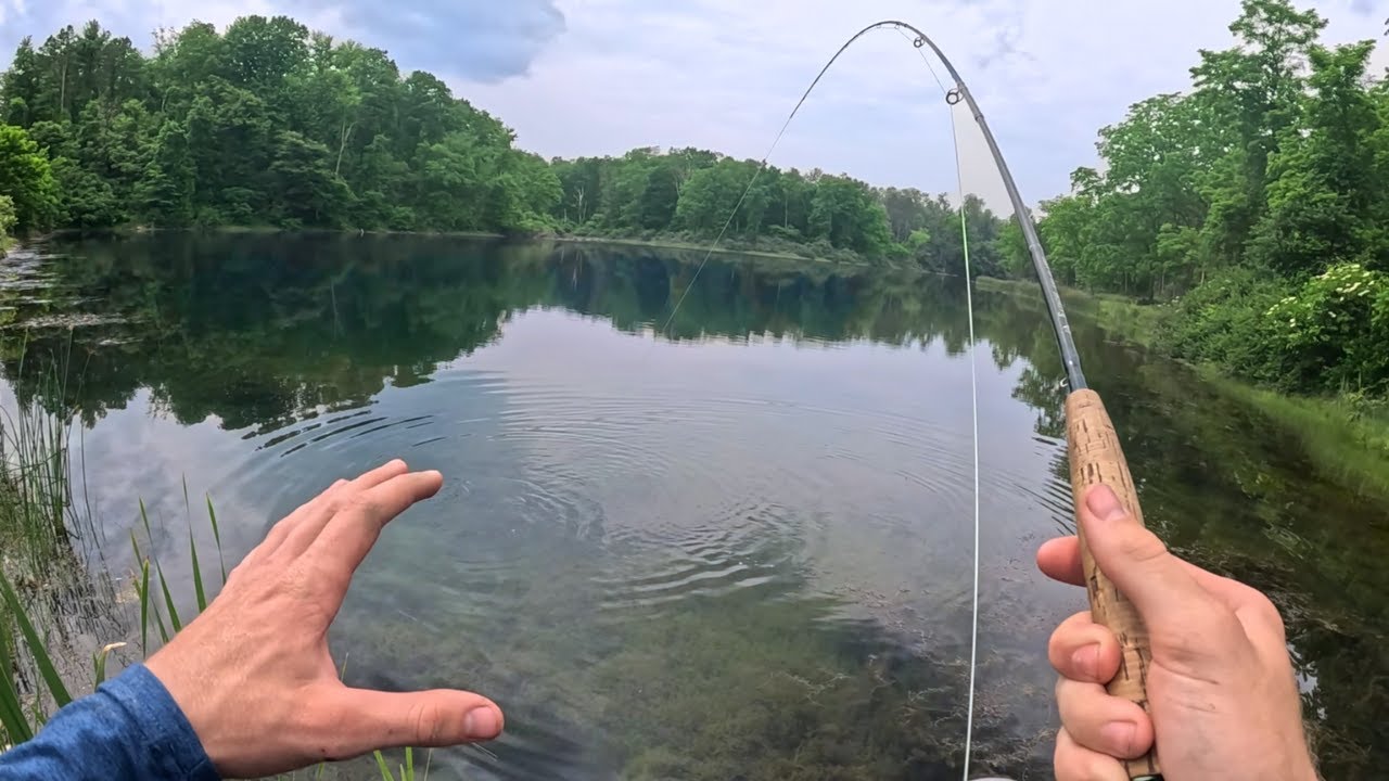 These Bluegill Were the Size of my Hand!!! - YouTube