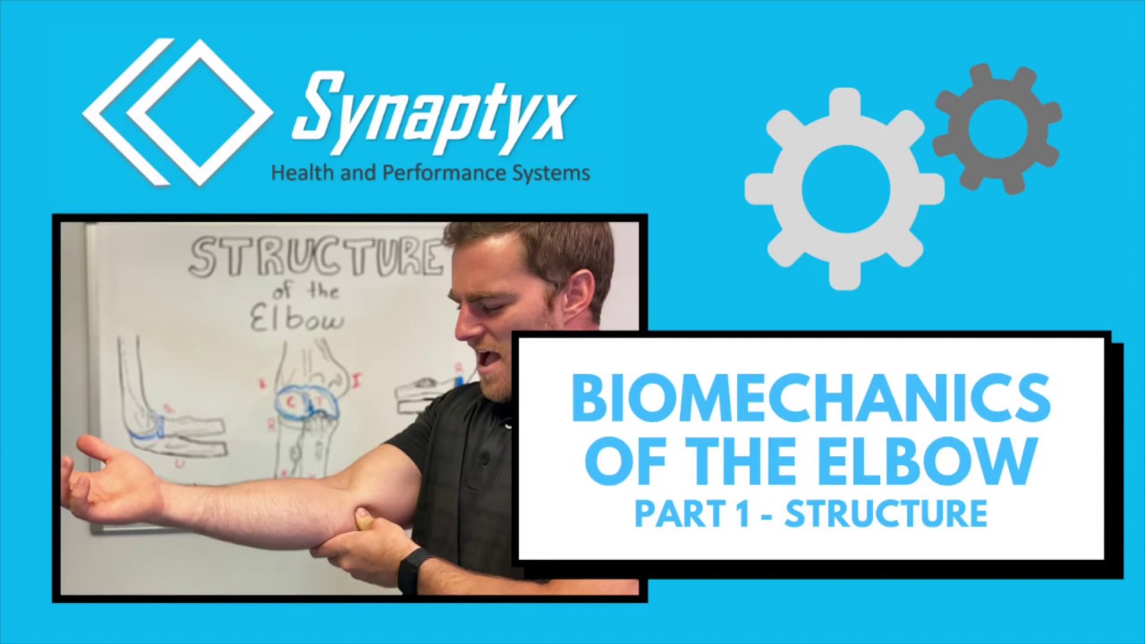 Biomechanics of the ELBOW - Pt 1 STRUCTURE - YouTube