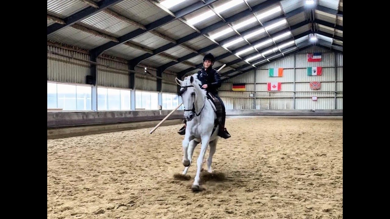 CENTAURO - Riding 'a la garrocha' Clinic at Stal Wennekers Nov. 23rd ...