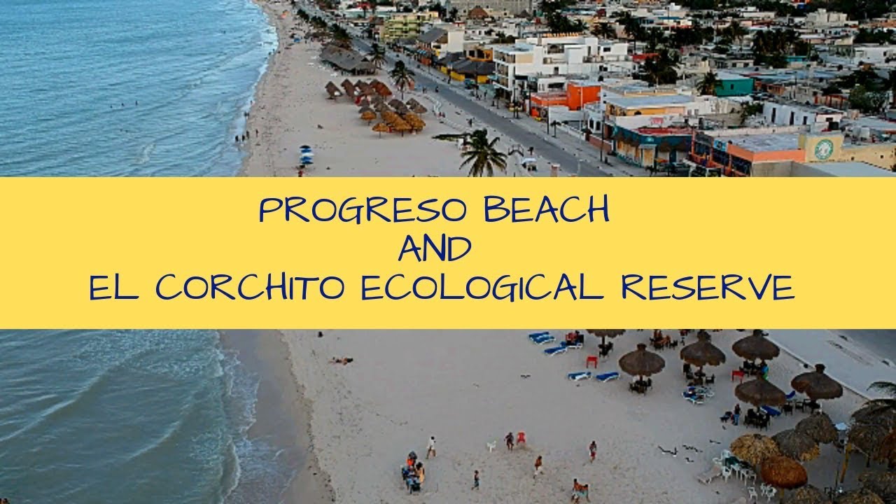 Progreso Beach and El Corchito Ecological Reserve - YouTube