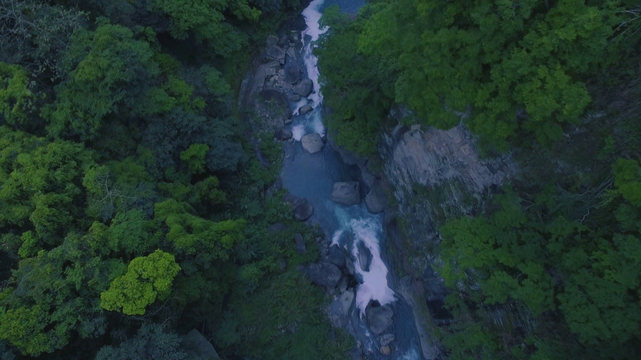 frog falls - YouTube