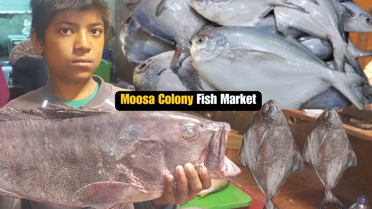 Explore Karachi Oldest Moosa Colony Fish Market Sasti Machli Market ...