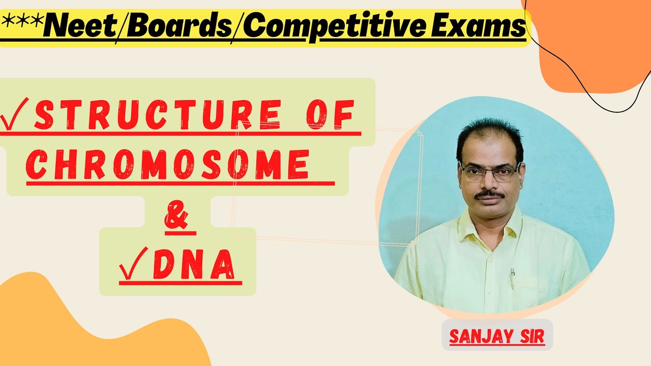GENETICS BASICs | STRUCTURE OF CHROMOSOMES & DNA|ICSE CLASS 10 BIOLOGY ...