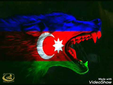 Gence 2019 Natiq Əliyevin yetirmələri