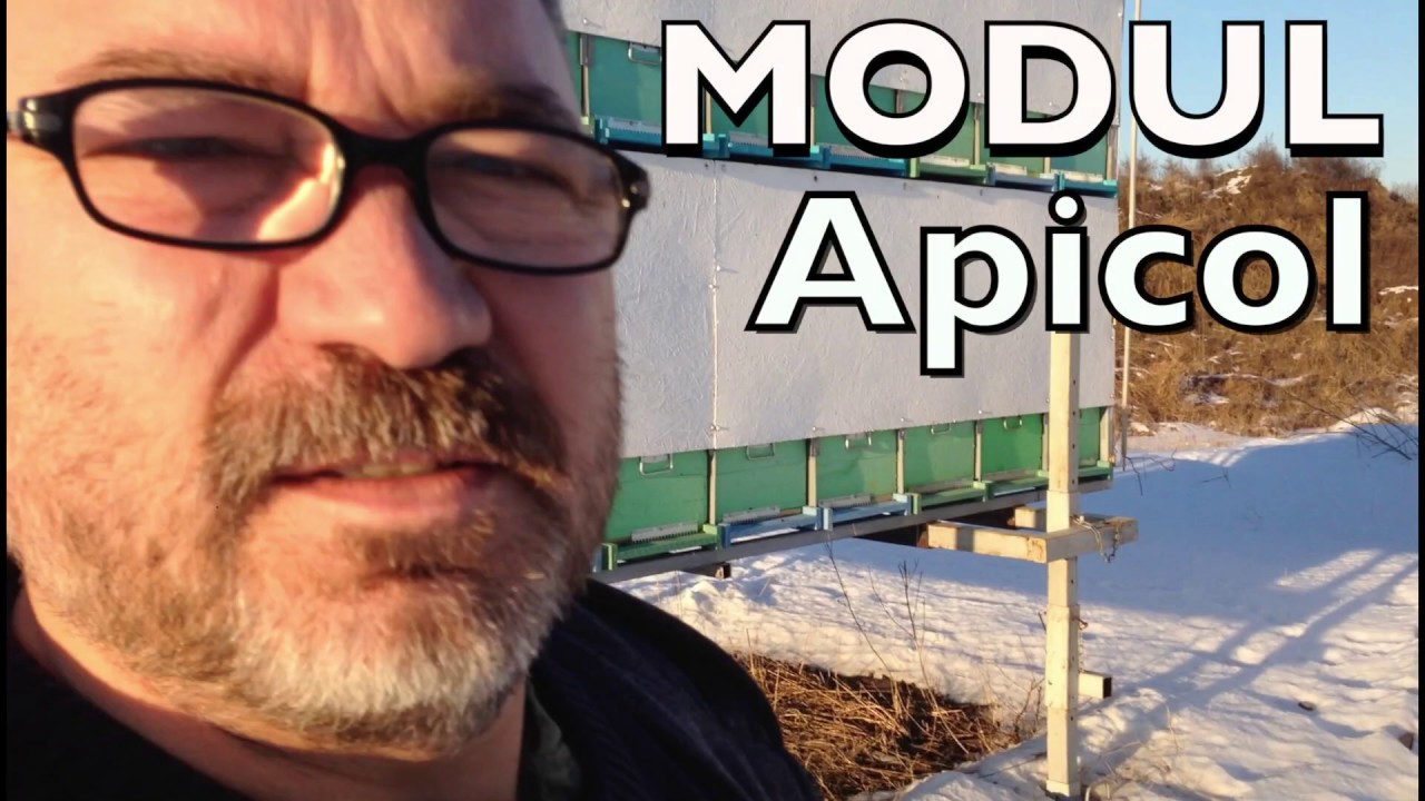 Apicultura - Module Apicole - Pavilion Bee Vlog - YouTube