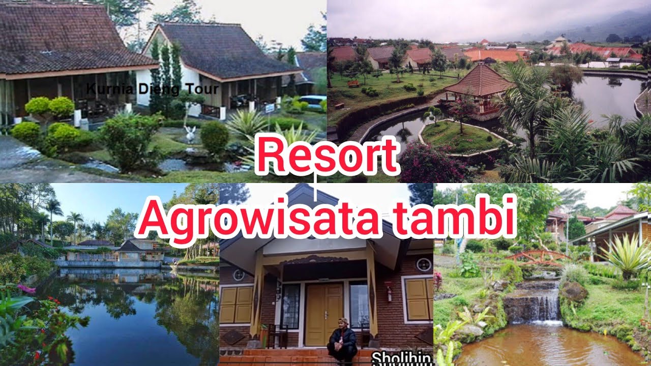 agrowisata tambi Wonosobo, home stay & resto, boleh melihat proses ...