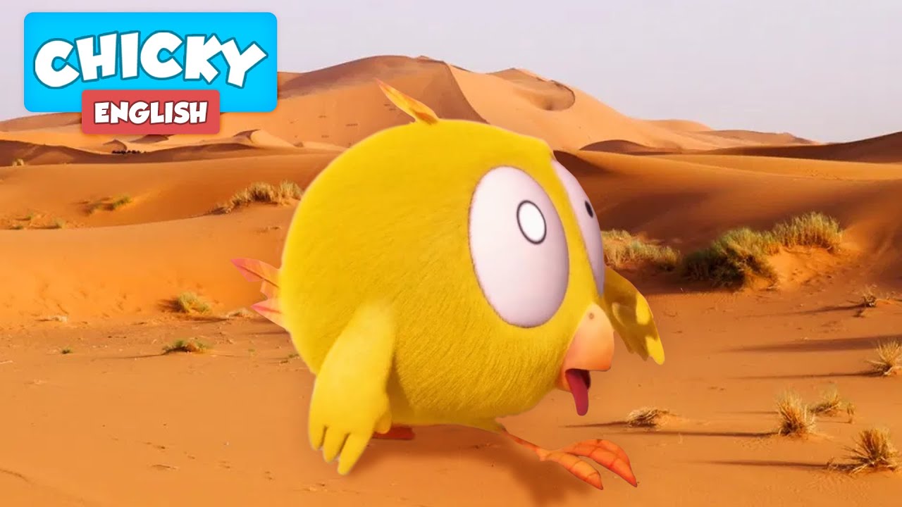 Where's Chicky? 🌵 THE DESERT | Chicky Cartoon in English for Kids - YouTube