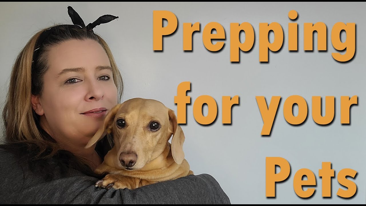Prepping for your Pets ~ What we keep on hand for Sort & Long Term ...