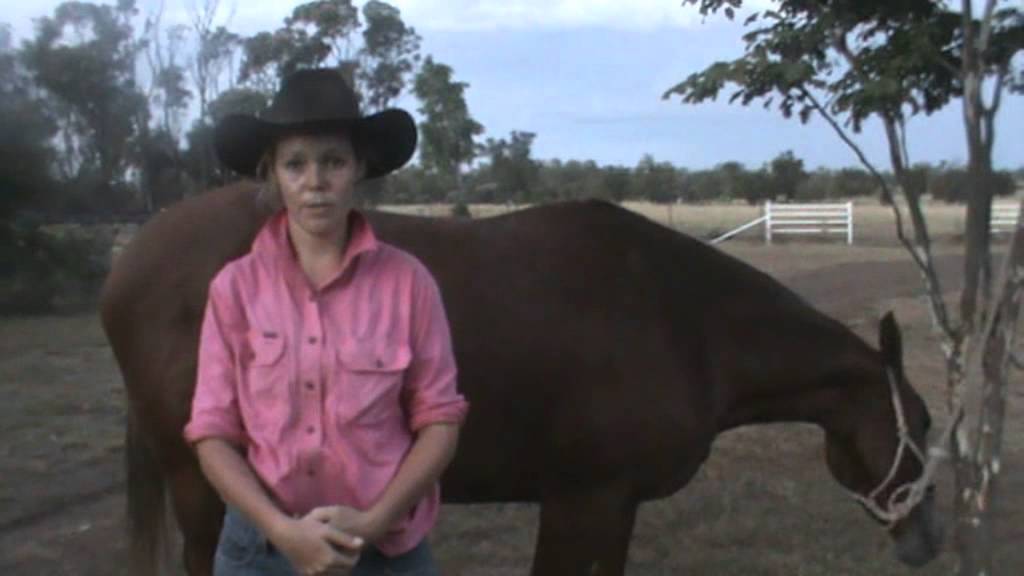 Latherin: A Surfactant Protein of Horse Sweat and Saliva - YouTube