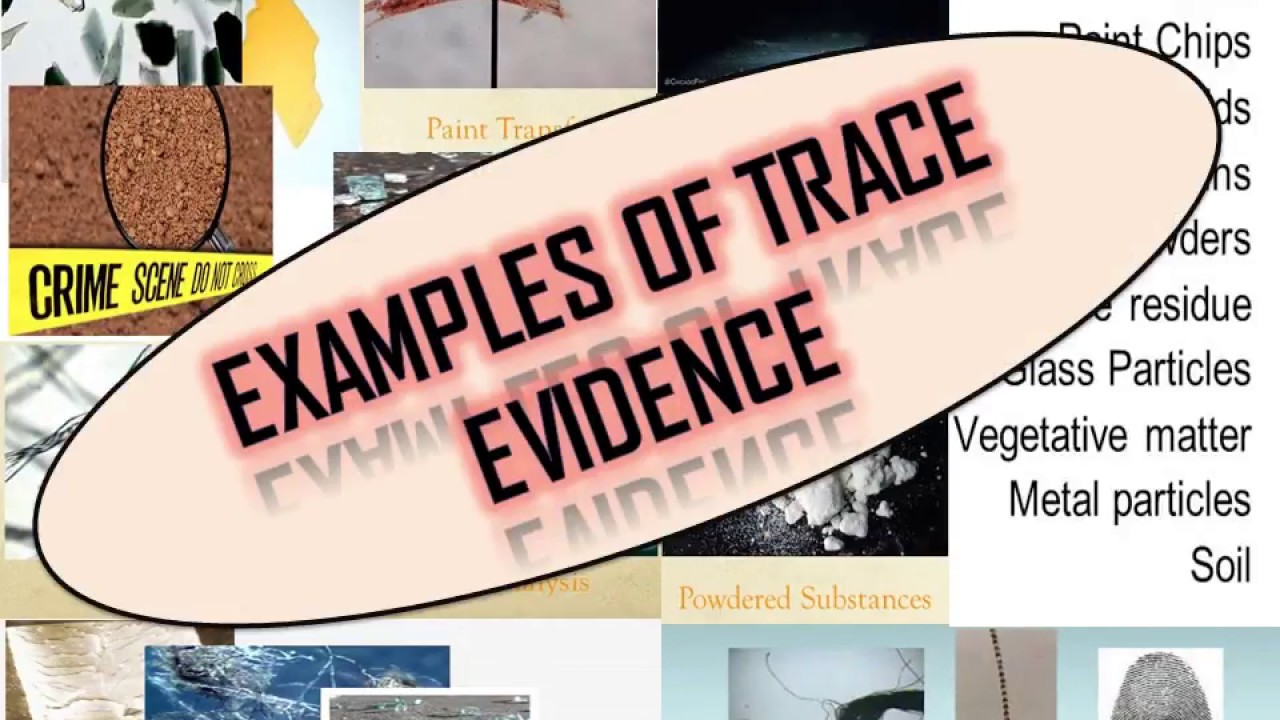 Examples Of Trace Evidence easy Notes YouTube examples-of-trace-evidence-easy-notes-youtube