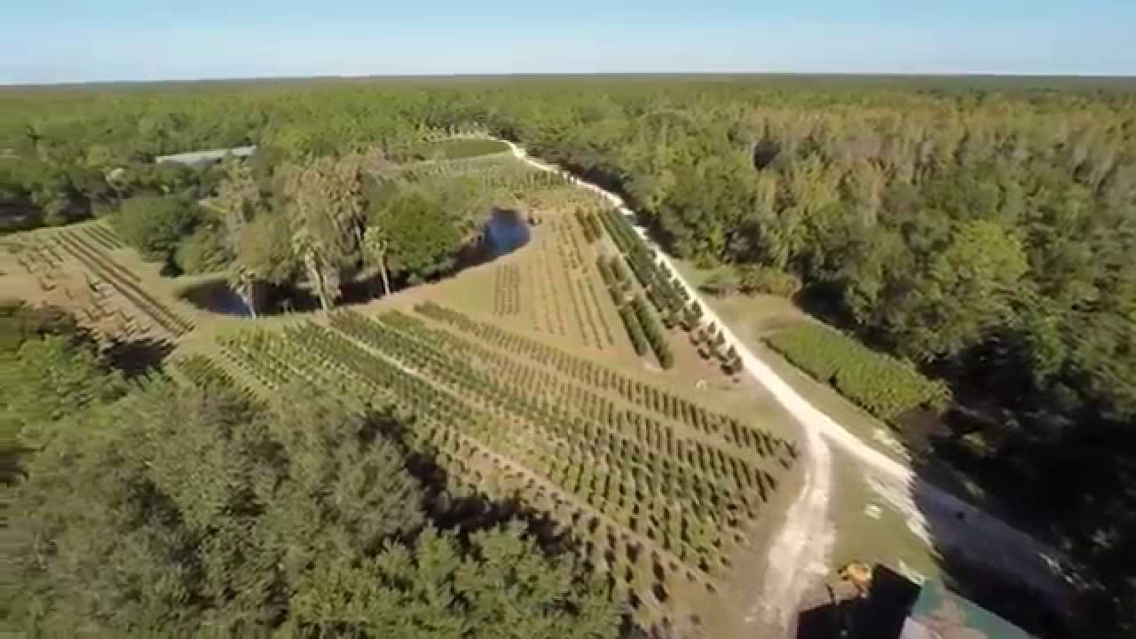 Drone-4-us.com The Butler Tree Farm ad by Michael Basedow - YouTube