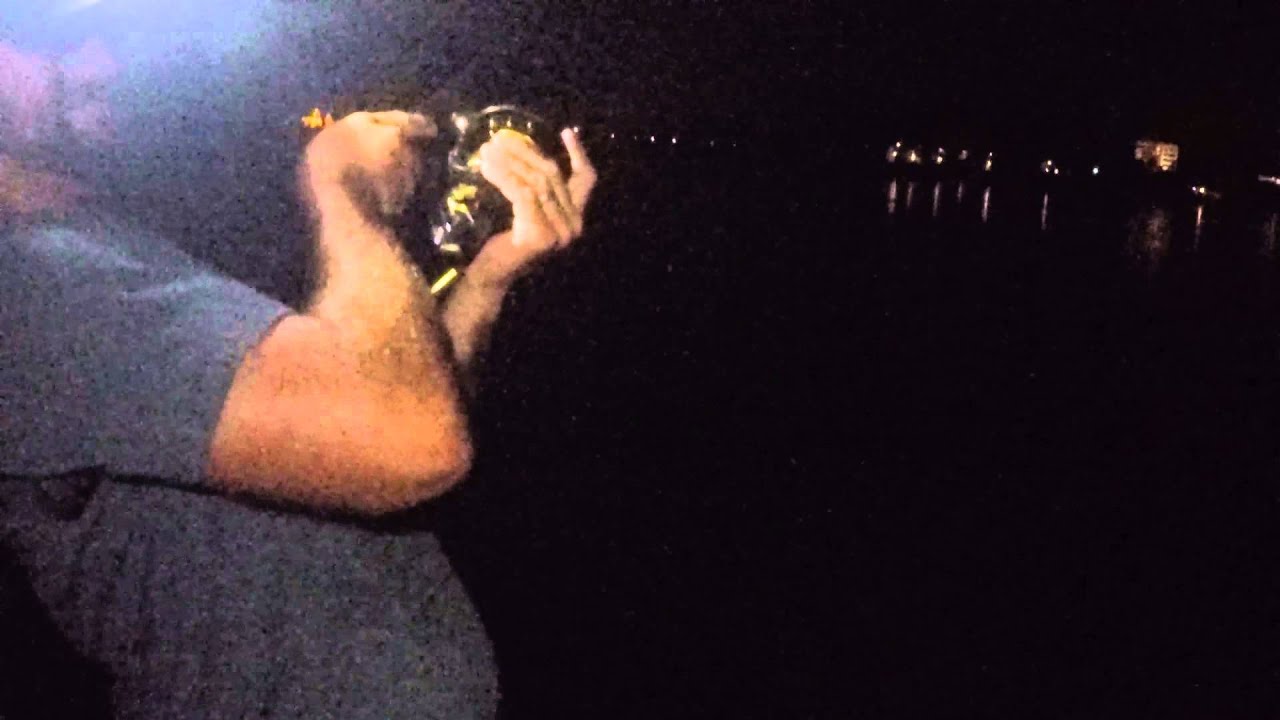 42 inch Snook Battle - YouTube