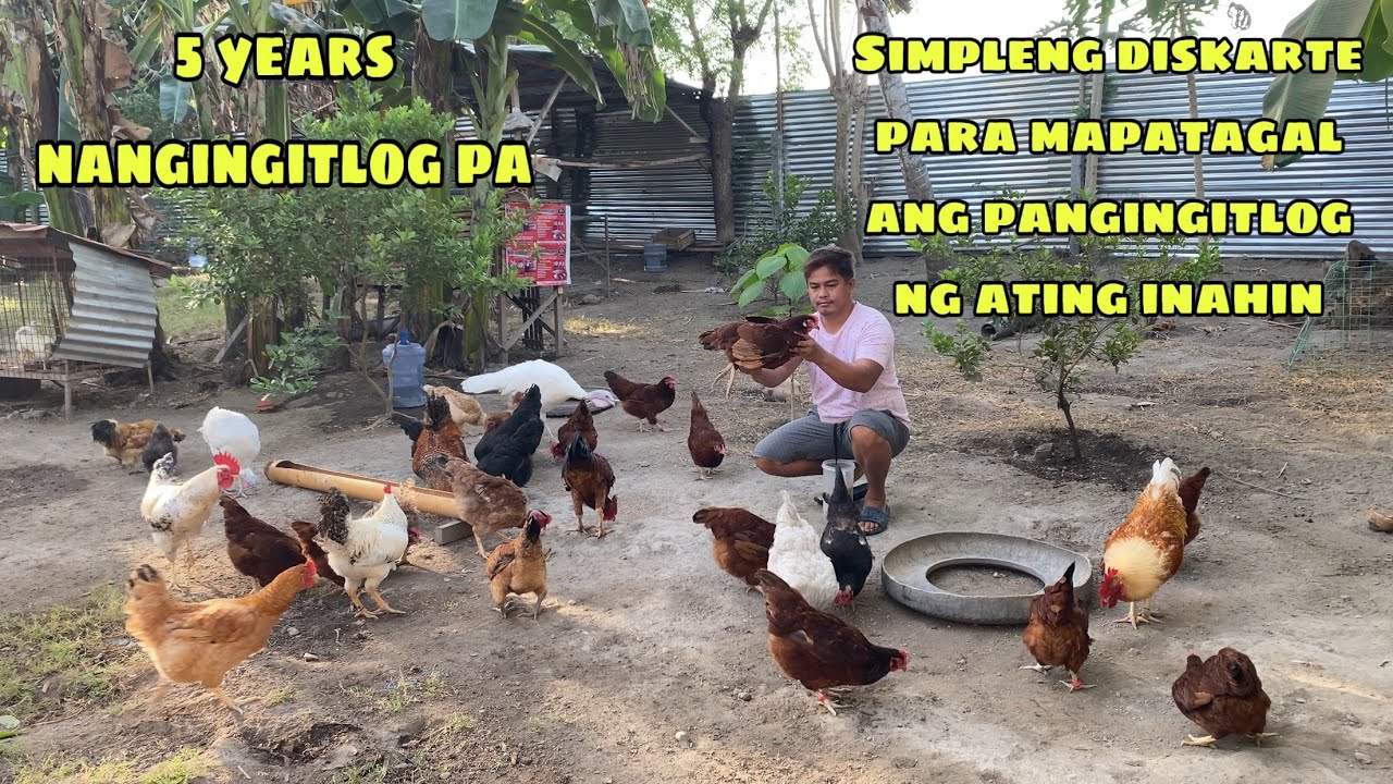 5YEARS NANGINGITLOG PA | SIMPLENG DISKARTE PARA MAPATAGAL ANG ...