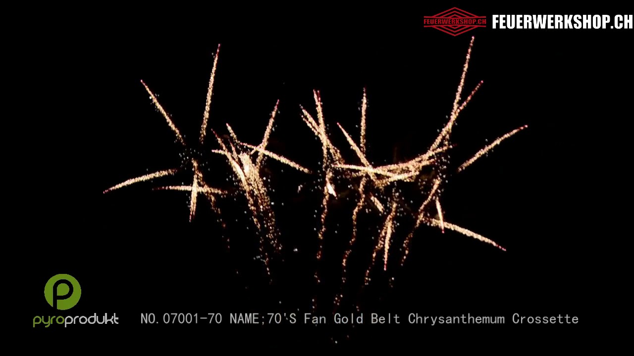 Fan Gold Belt Chrysanthemum Crossette - YouTube