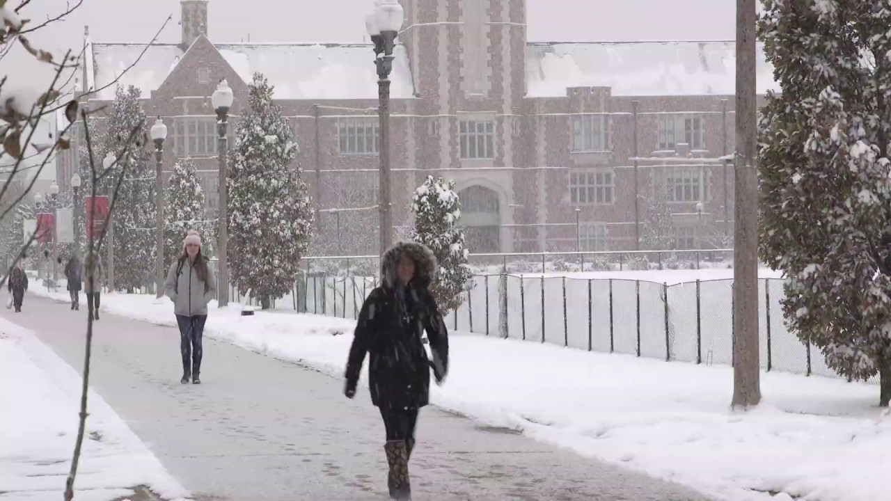 Snowy Day Sights and Sounds WashU 2018 | Washington University - YouTube