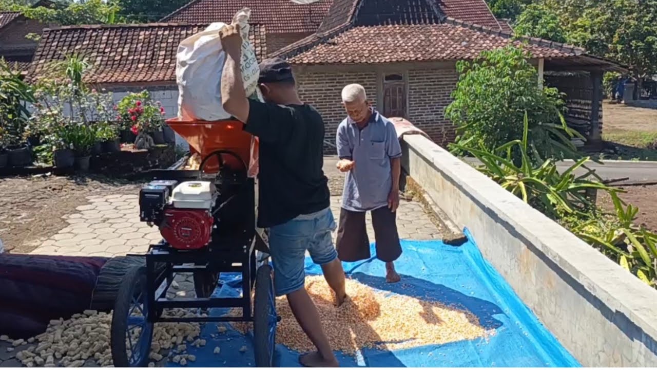 TES MESIN PERONTOK JAGUNG SUDAH PAKAI BLOWER HISAP || kapasitas 1 ton ...