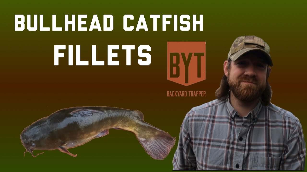 Fillet Bullhead Catfish - YouTube