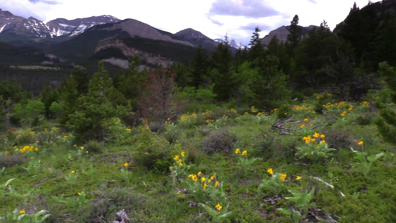 Deep Canyon Guest Ranch: Ranch with a View - YouTube