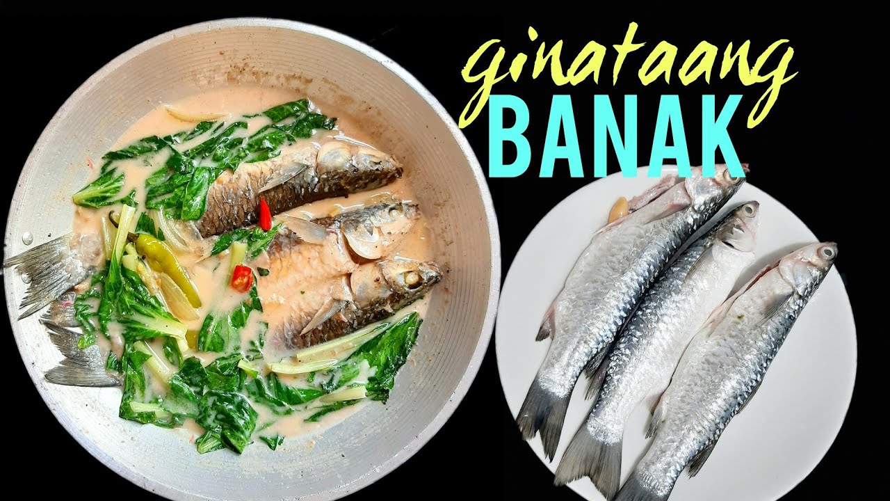 GINATAANG BALANAK /BANAK /EASY RECIPE /SINIORAJUANS KITCHEN - YouTube