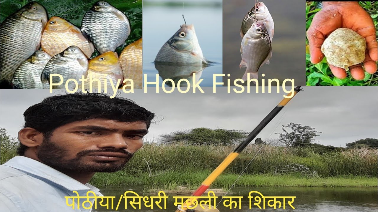 Pothiya Fishing video||Pothiya fish hunting||पोठीया मछली का शिकार 🐟🎣🐟 ...