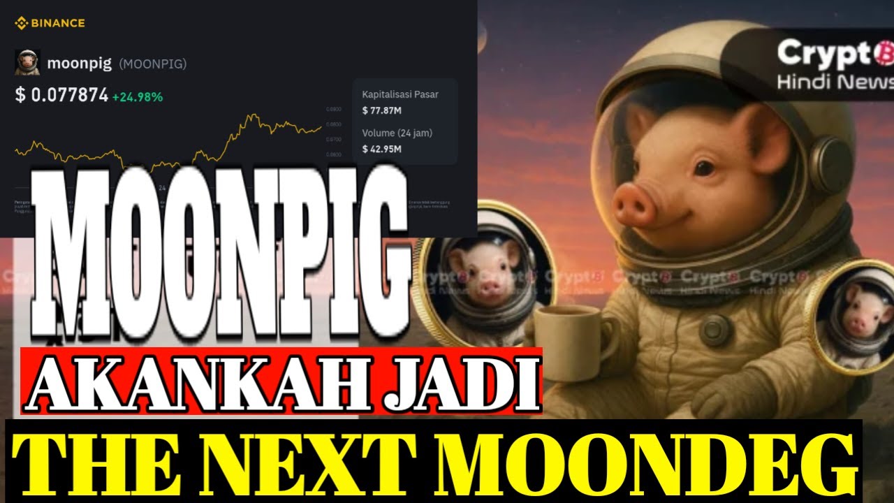 MOONPIG MEME COIN BARU DI JARINGAN SOLANA..BINACE, COIN BASE AUTO $1🚀🚀 ...