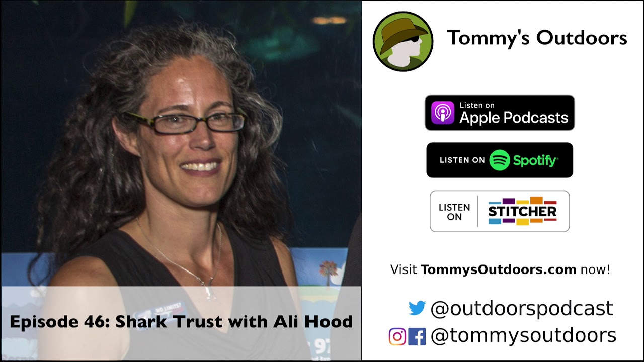 Episode 46: Shark Trust with Ali Hood - YouTube