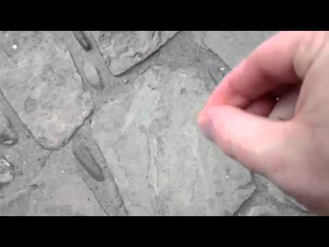 Moab birdies - YouTube