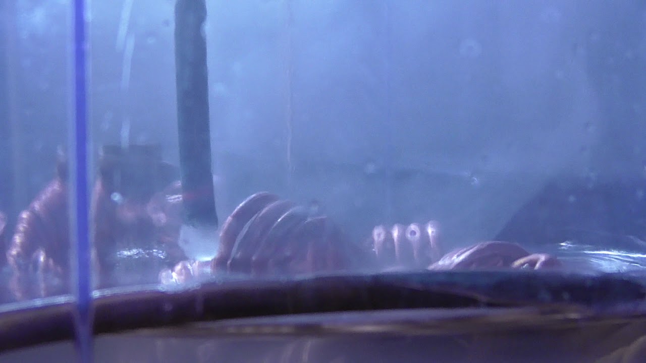 ALK(SO4)2?100%+CU_-CU|(10MM2)450VMAX15000UF - YouTube