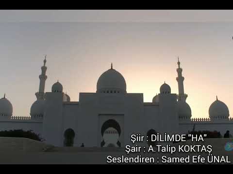 DİLİMDE \