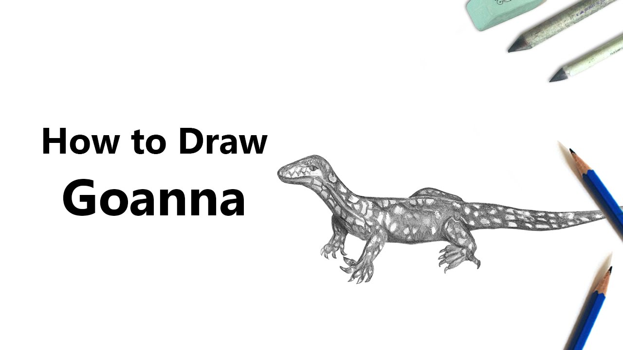 How to Draw a Goanna with Pencils [Time Lapse] - YouTube