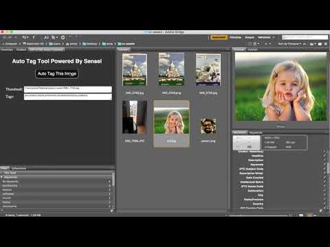 Auto Tag Tool Powered by Adobe Sensei - YouTube