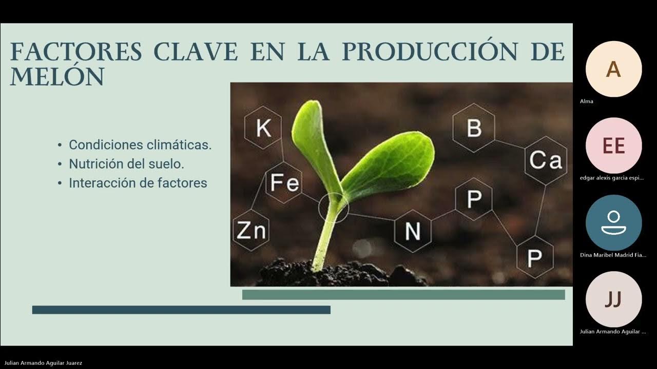 Equipo 50D - YouTube