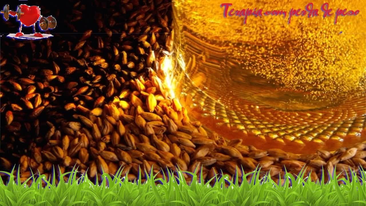 Saúde - O que é o malte e quais os seus benefícios - YouTube