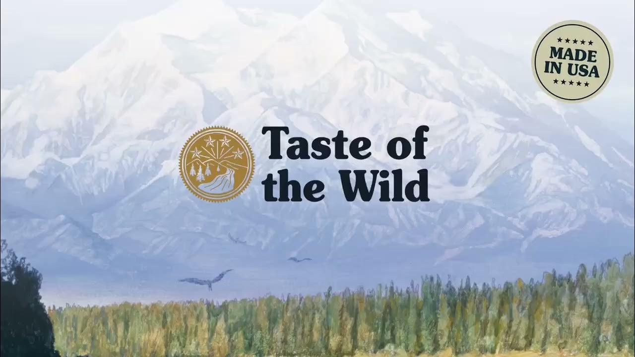 Дикий корм для собак Taste of the Wild - YouTube