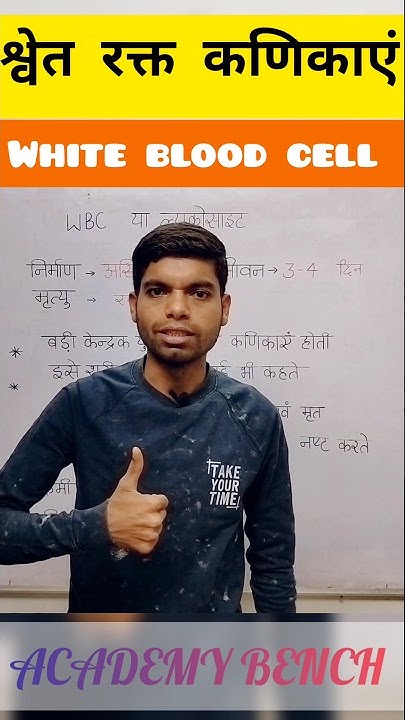 श्वेत रक्त कणिकाएं (WBC) #shorts - YouTube