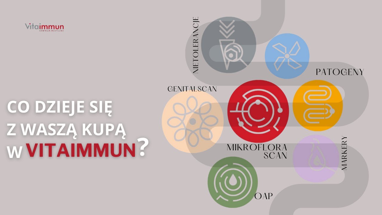 Jak pracujemy w Vitaimmun? - YouTube