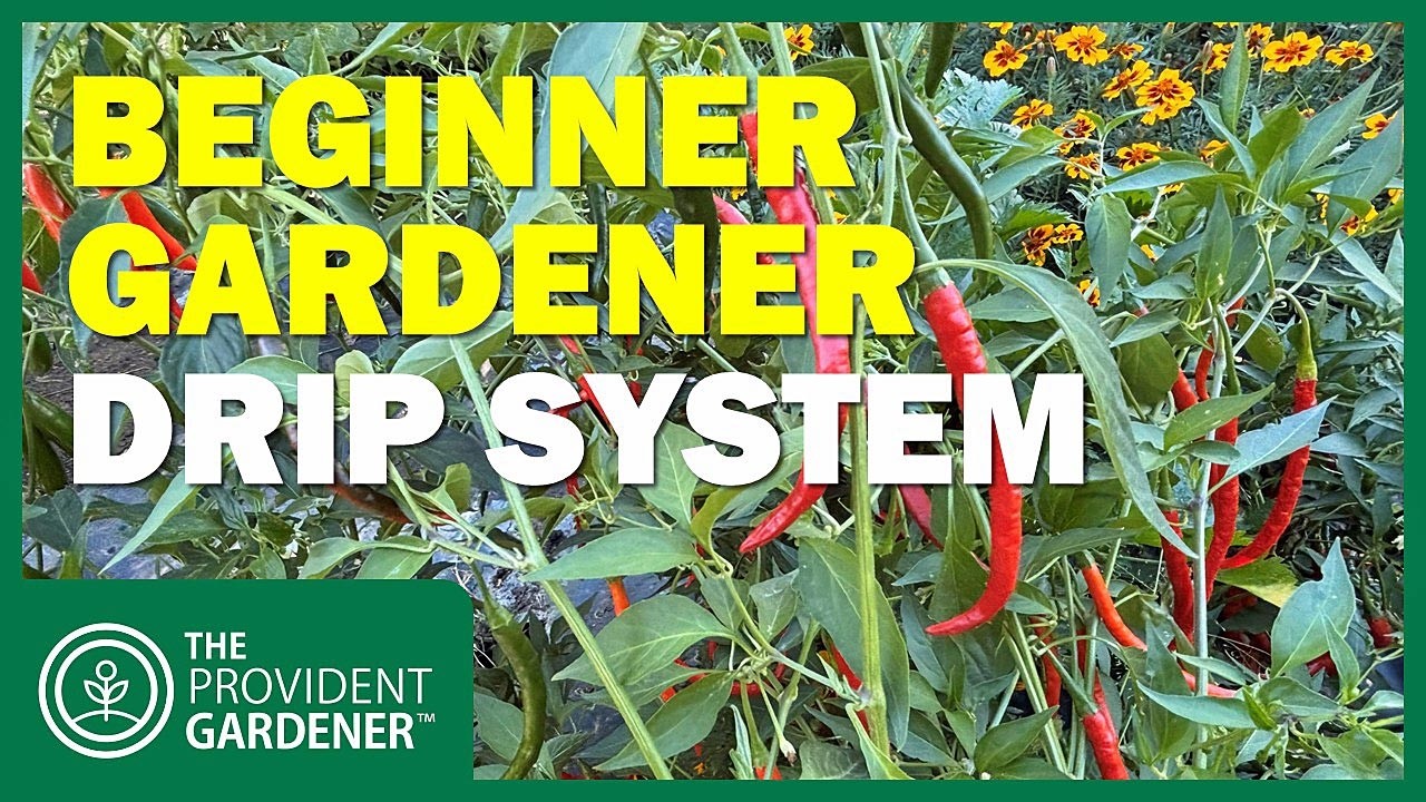 Beginner-Friendly Drip Irrigation System: Save Water, Kill Weeds, Grow ...