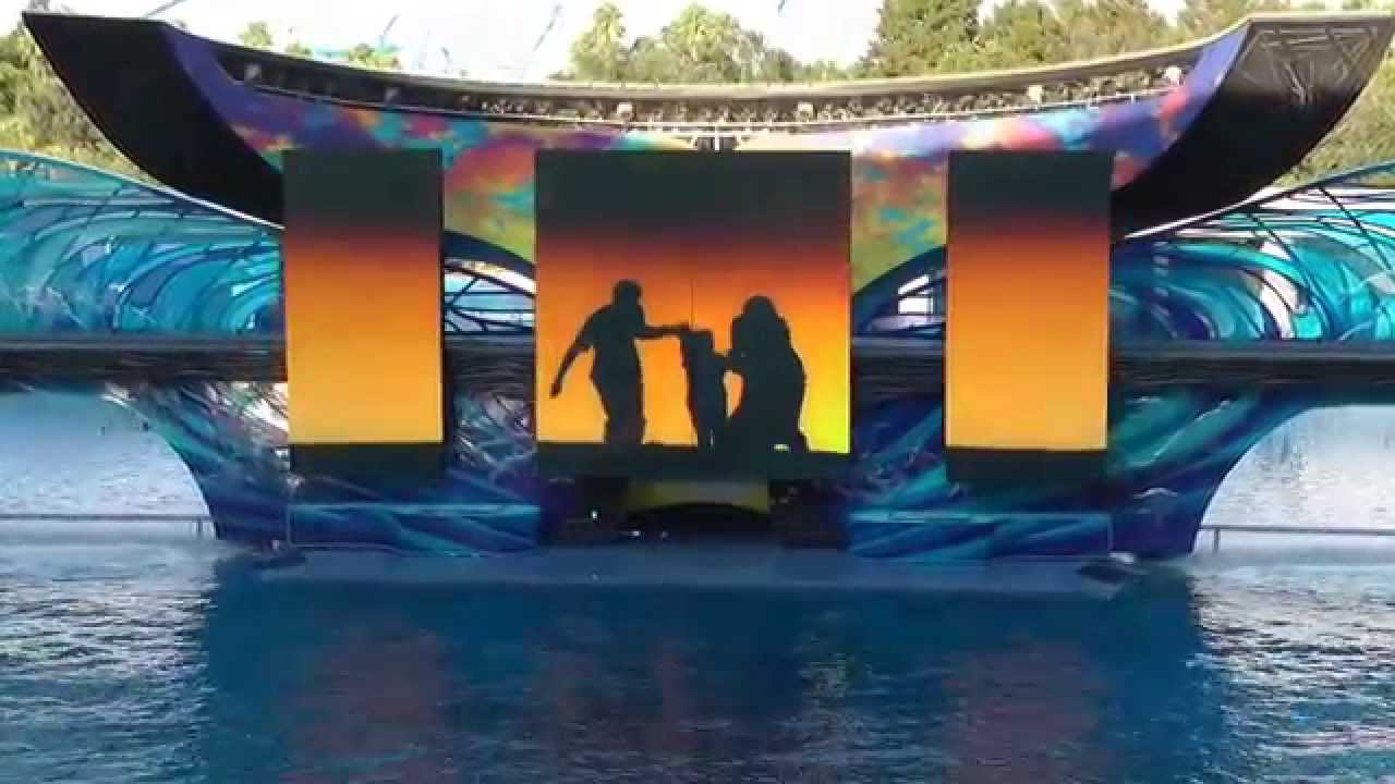 SeaWorld HD FULL SHOW part 2/3 - YouTube