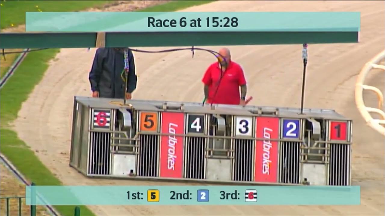 Monmore Greyhounds Races on 23rd September 2022 - YouTube Monmore Greyhounds Races on 23rd September 2022 - YouTube