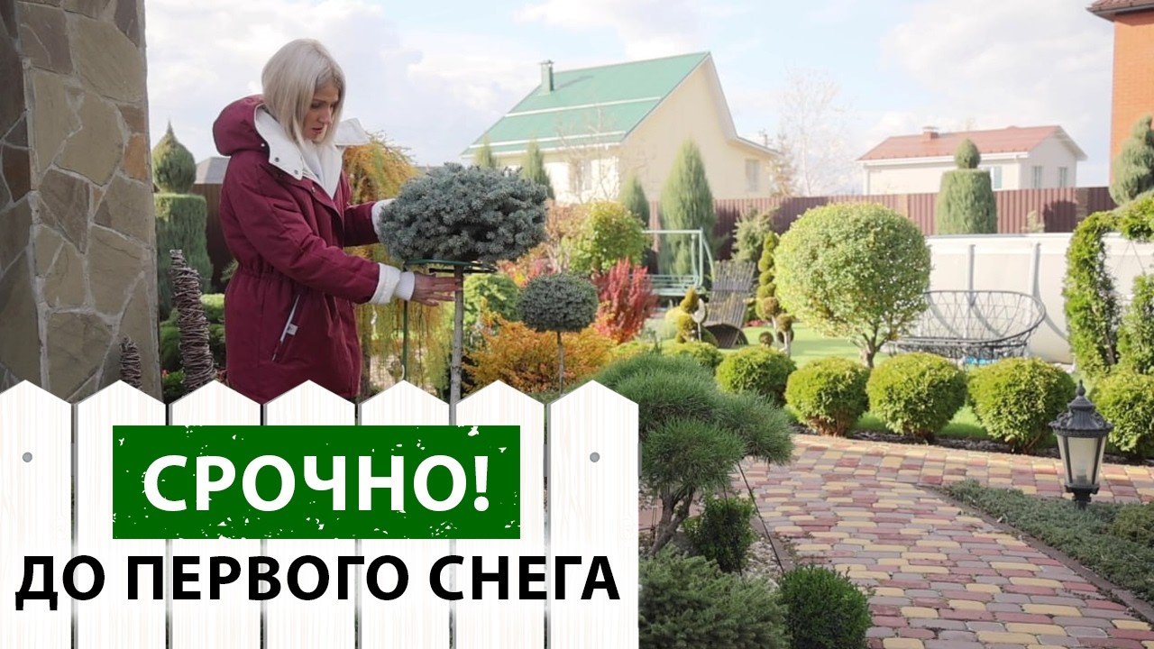 Как сохранить ДЕРЕВЬЯ НА ШТАМБЕ, чтобы они НЕ ПОГИБЛИ от ветра и снега ...