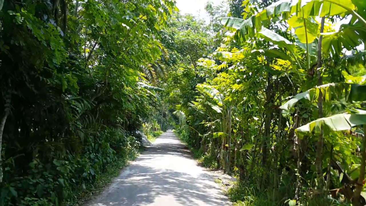 Beautiful Village in Bangladesh | Natural Scenery of Bangladeshi ...