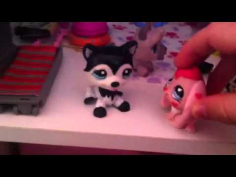 Lps:College!!!! - YouTube