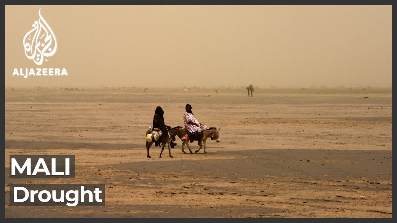 Climate change dries Mali’s Lake Faguibine, displaces population - YouTube