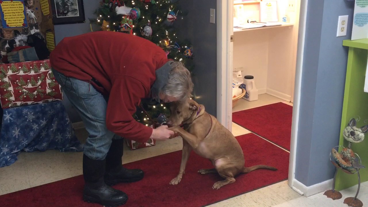 Missy Mae shows off her tricks - YouTube