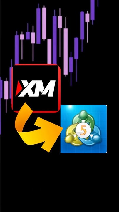 Cómo conectar XM Broker a Metatrader 5 (mt5) #trading - YouTube