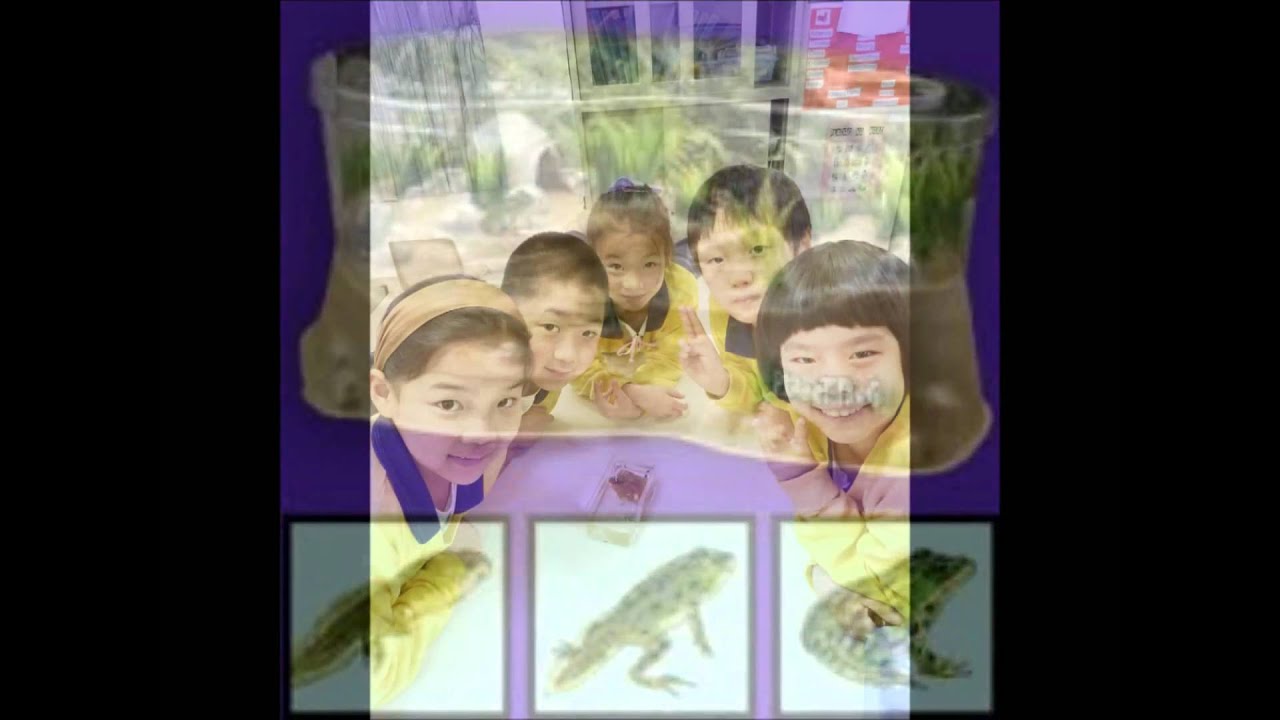 Animals Lesson Digital Story - YouTube