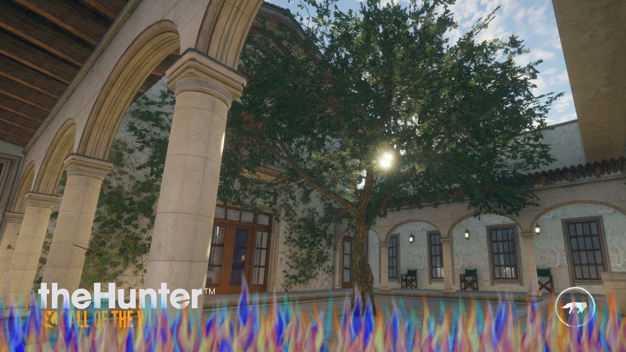 theHunter COTW: Rancho Del Arroyo Loadouts - YouTube